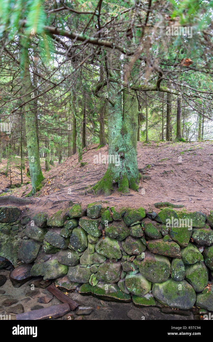 large granite rock single in nature environment isolated from other ...