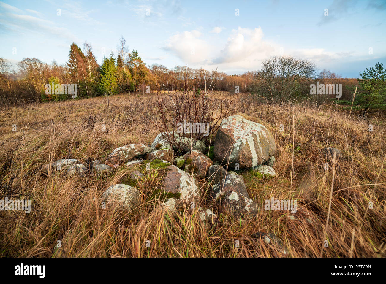 large granite rock single in nature environment isolated from other ...