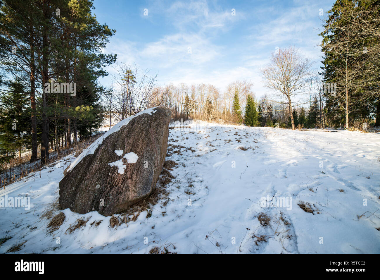 large granite rock single in nature environment isolated from other ...