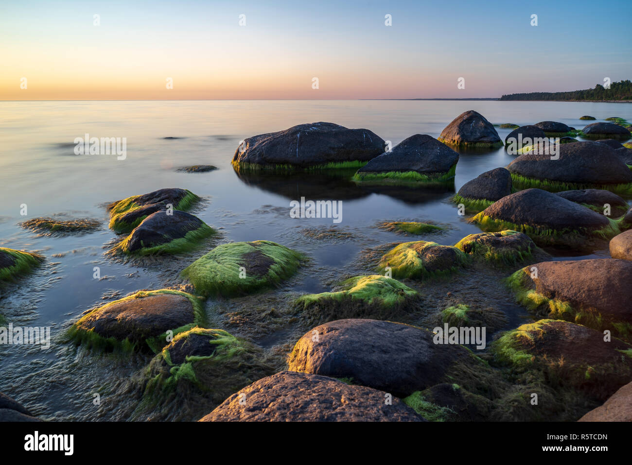 large granite rock single in nature environment isolated from other ...