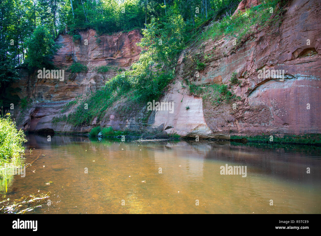 water stream in river of Amata in Latvia with sandstone cliffs, green ...