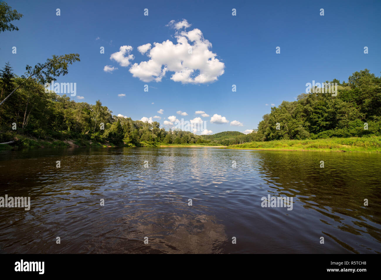 water stream in river of Amata in Latvia with sandstone cliffs, green ...