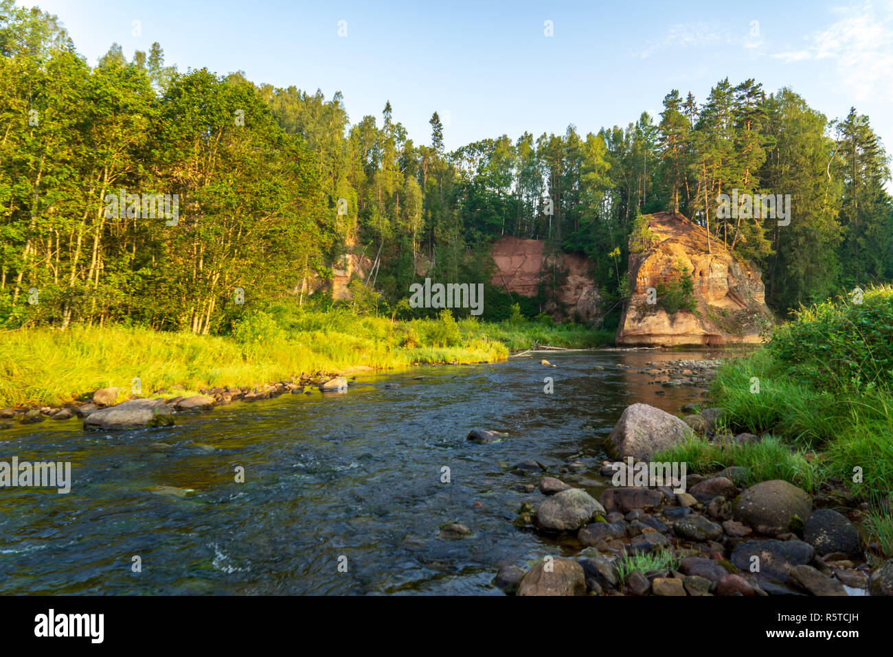 water stream in river of Amata in Latvia with sandstone cliffs, green ...