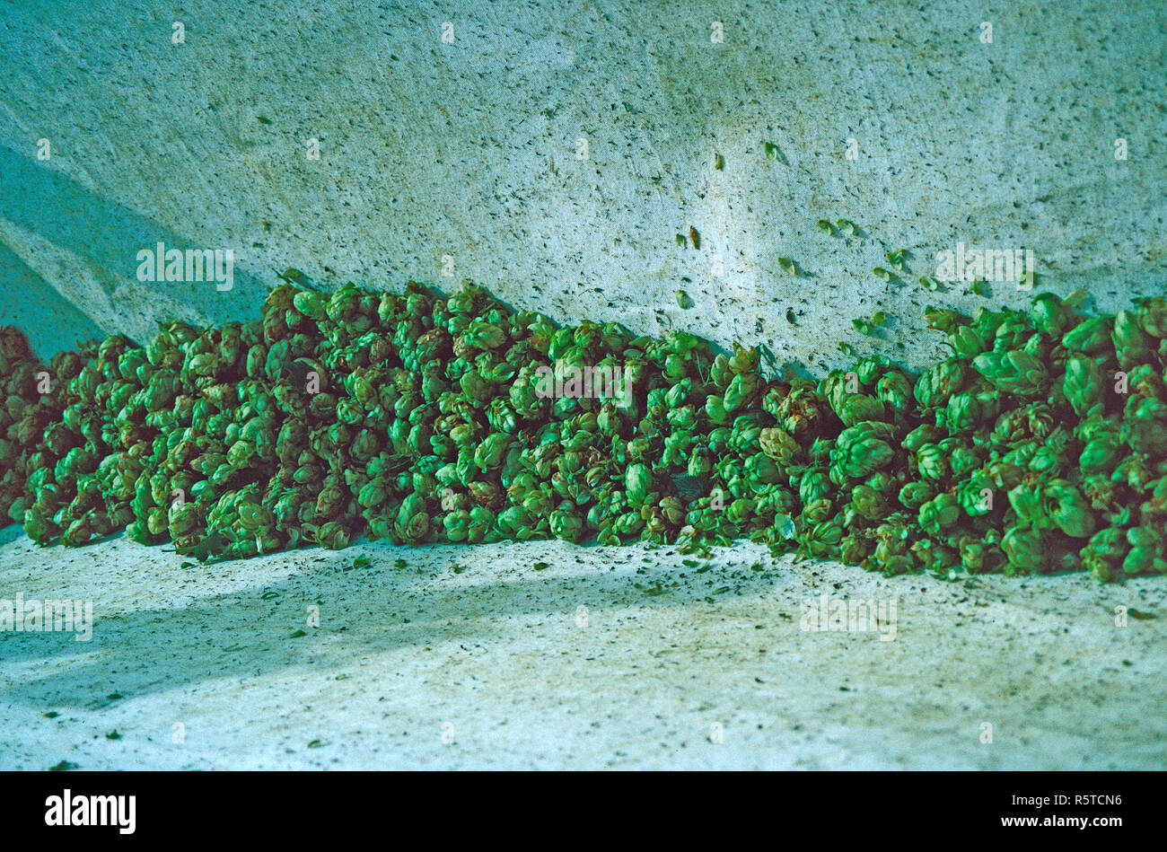 Hop bin hi-res stock photography and images - Alamy