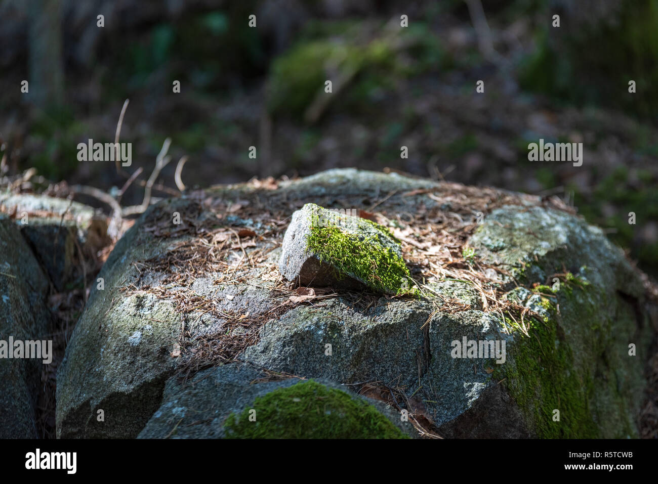 large granite rock single in nature environment isolated from other ...