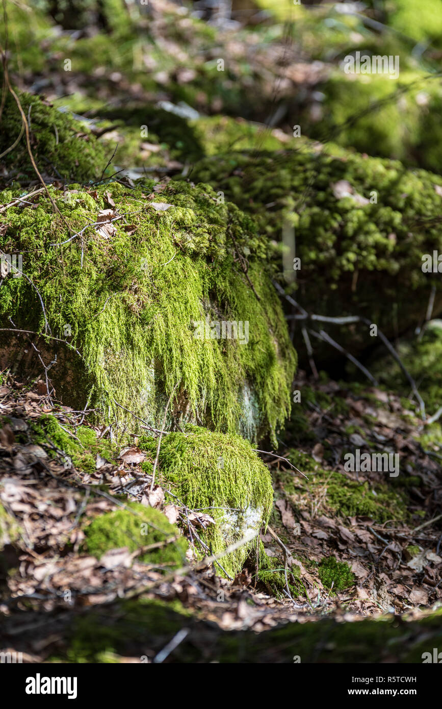 large granite rock single in nature environment isolated from other ...