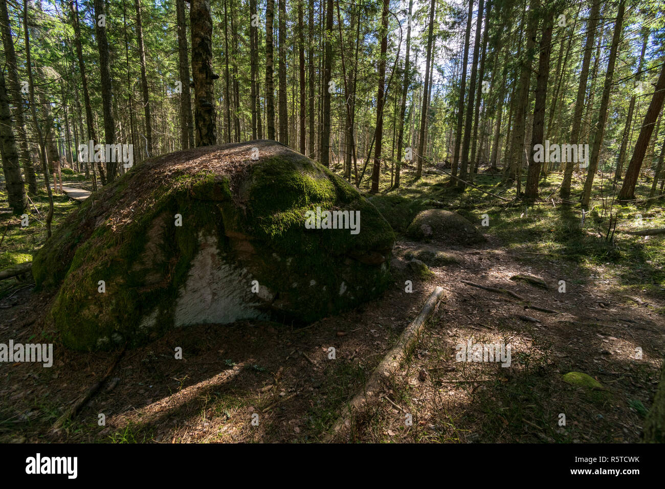 large granite rock single in nature environment isolated from other ...