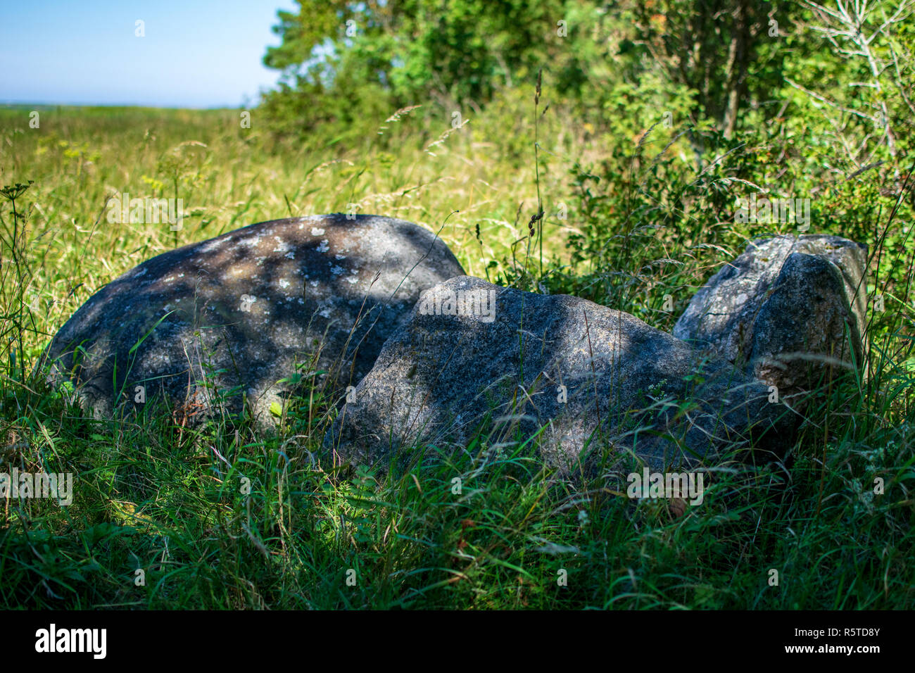 large granite rock single in nature environment isolated from other ...