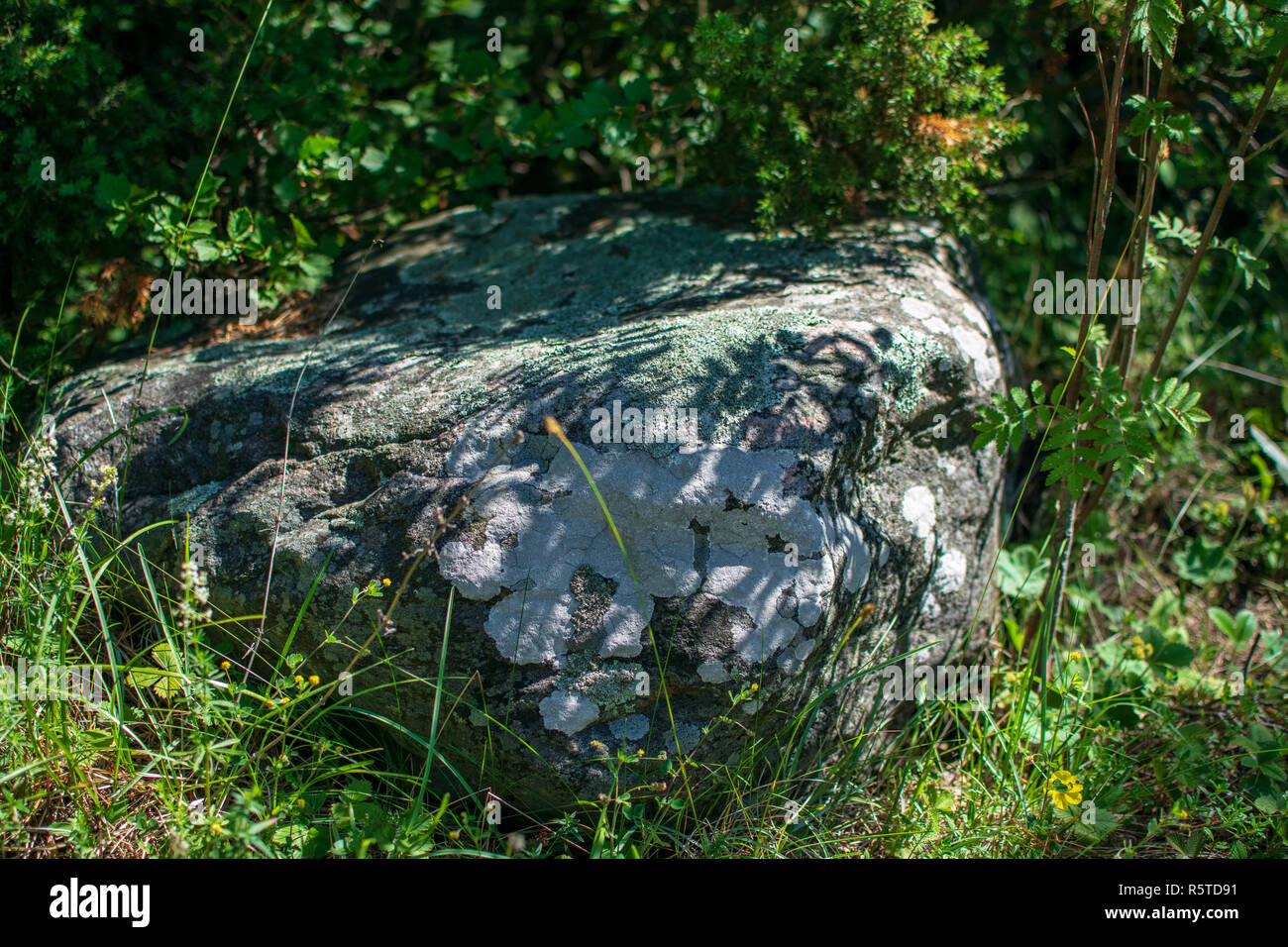 large granite rock single in nature environment isolated from other ...
