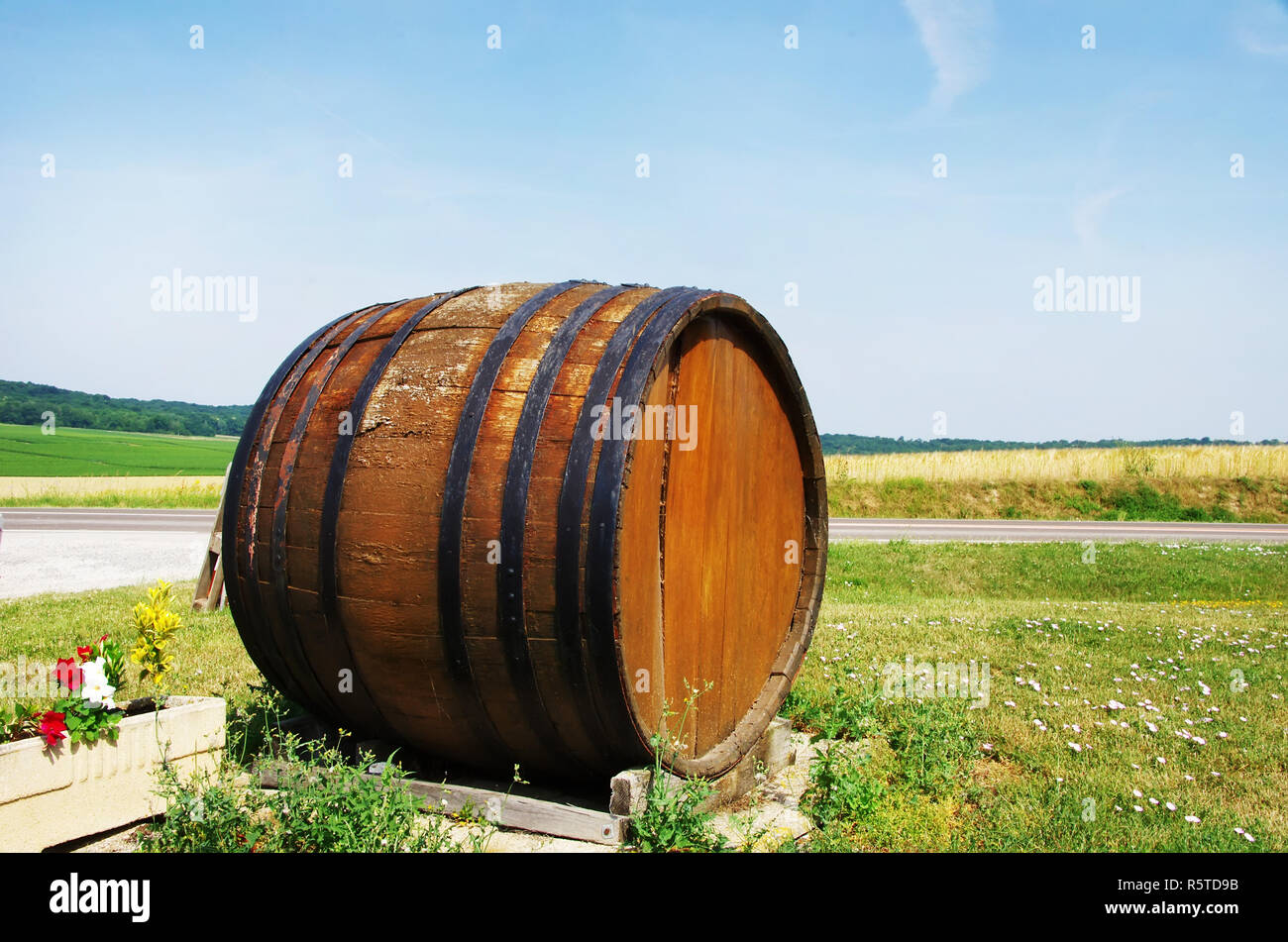 Wooden barrel for wine placed in agricultural field Stock Photo - Alamy
