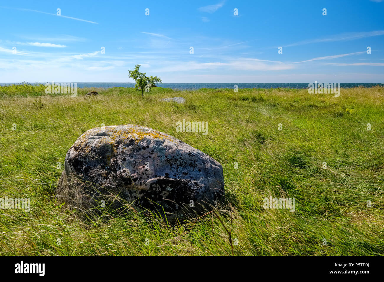 large granite rock single in nature environment isolated from other ...