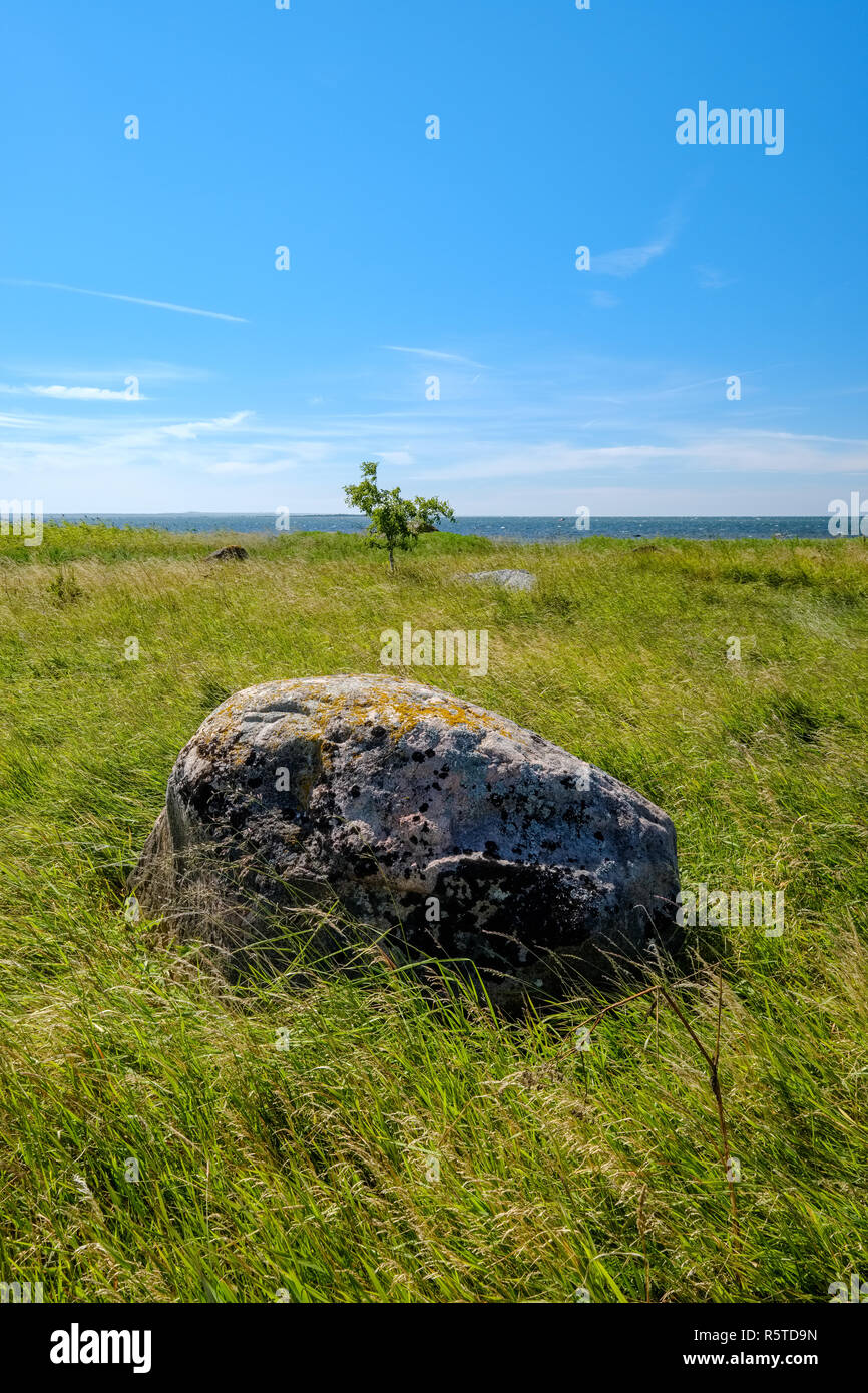 large granite rock single in nature environment isolated from other ...