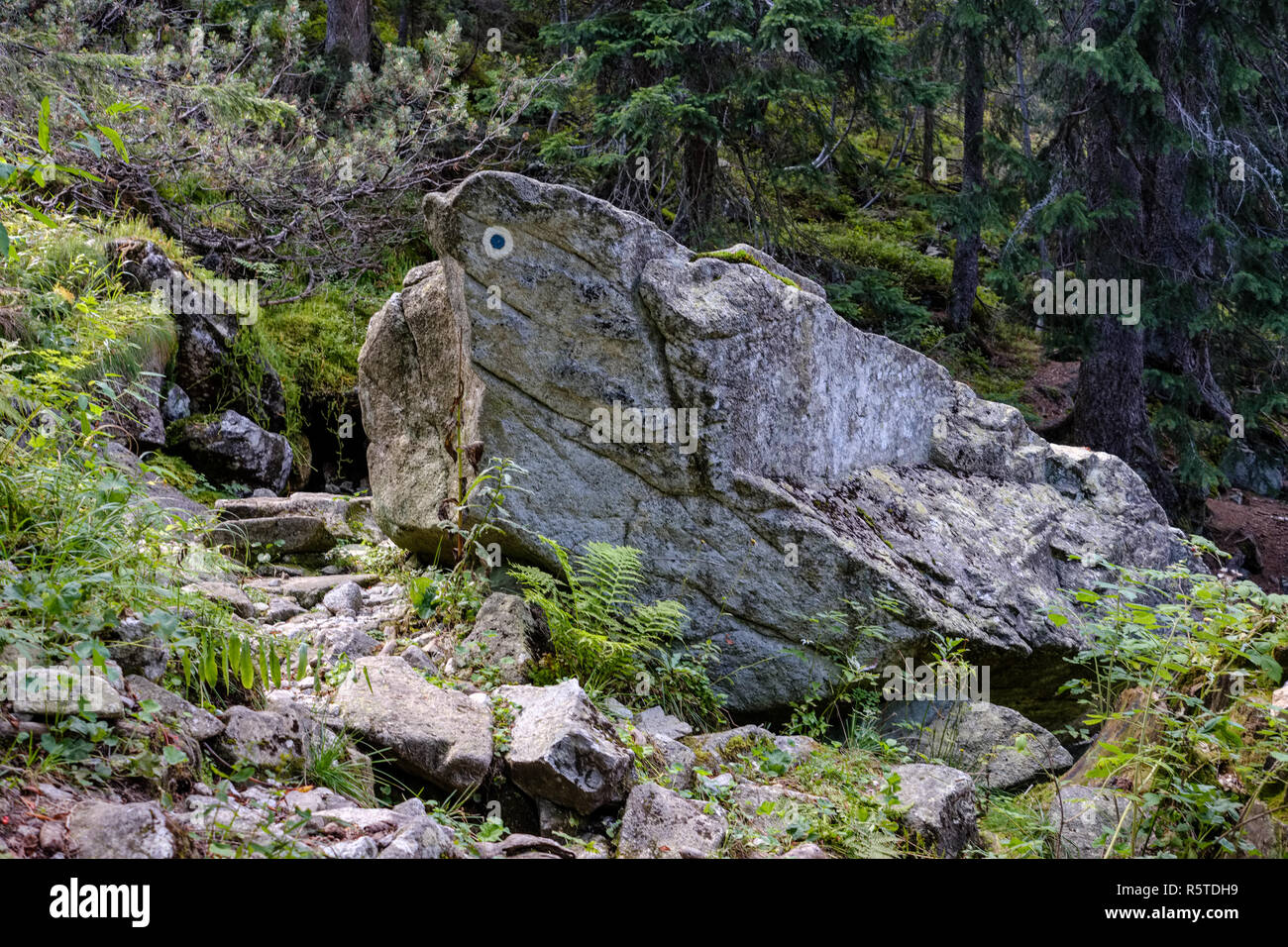 large granite rock single in nature environment isolated from other ...
