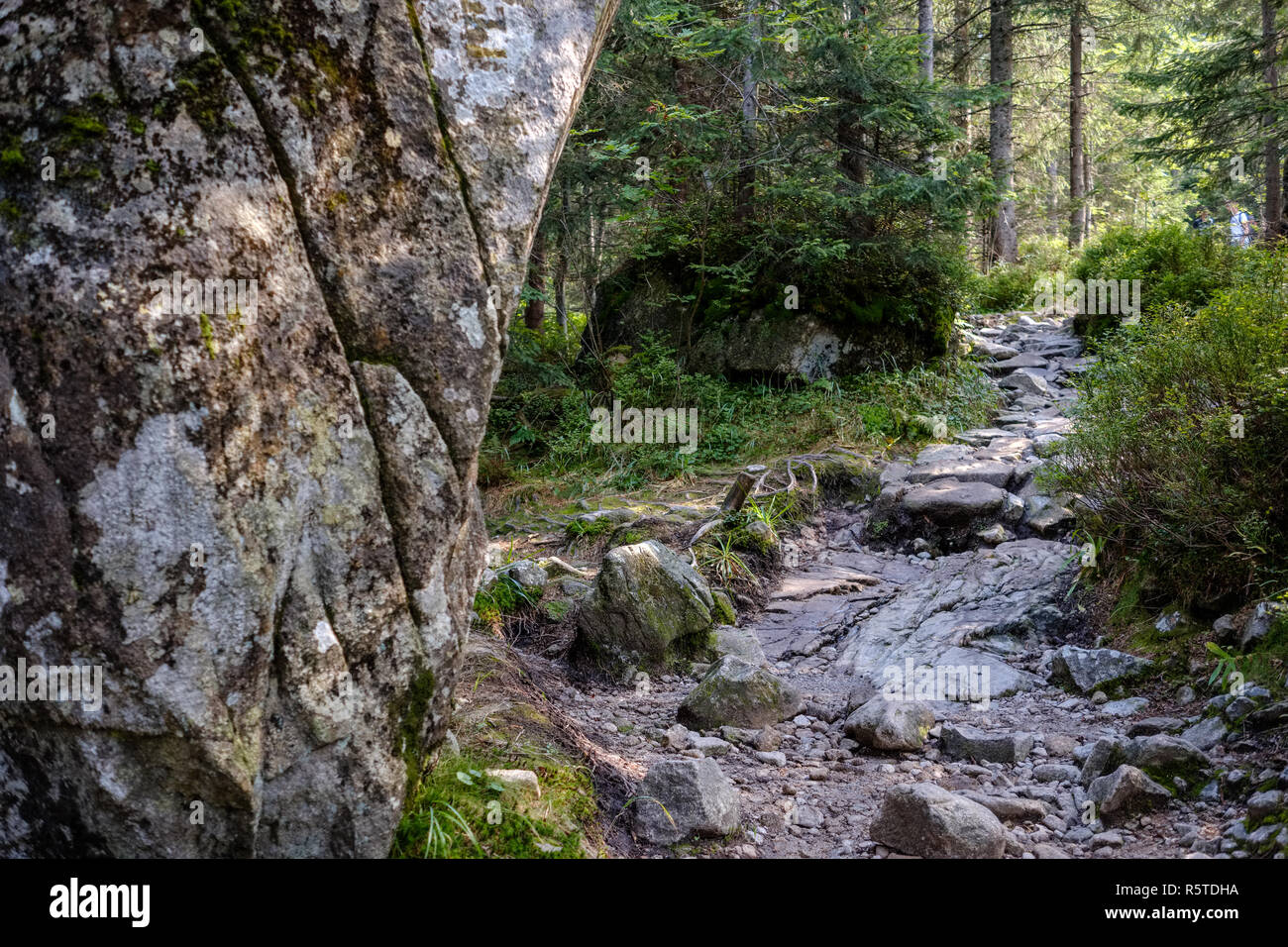large granite rock single in nature environment isolated from other ...