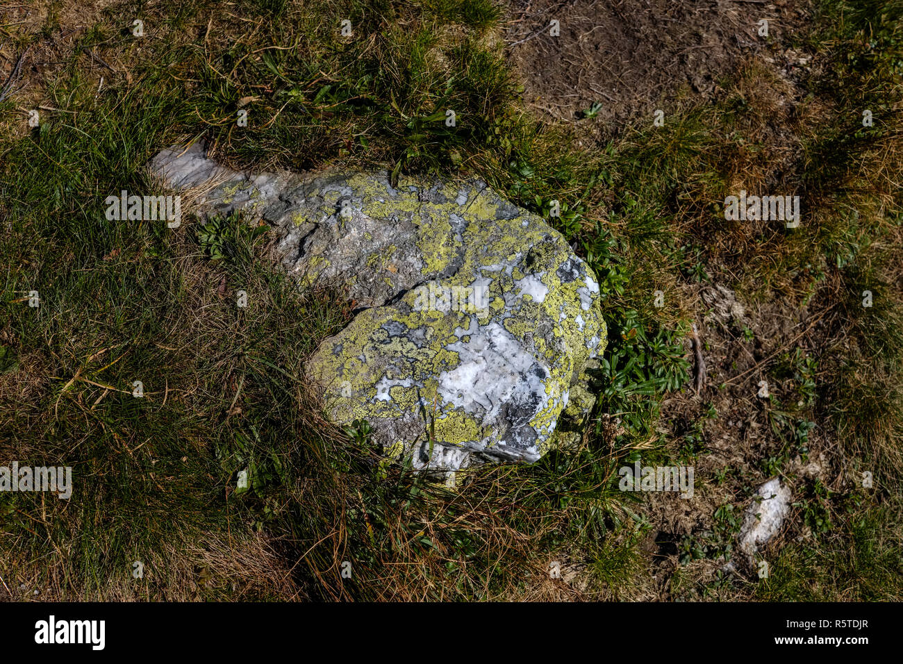 large granite rock single in nature environment isolated from other ...