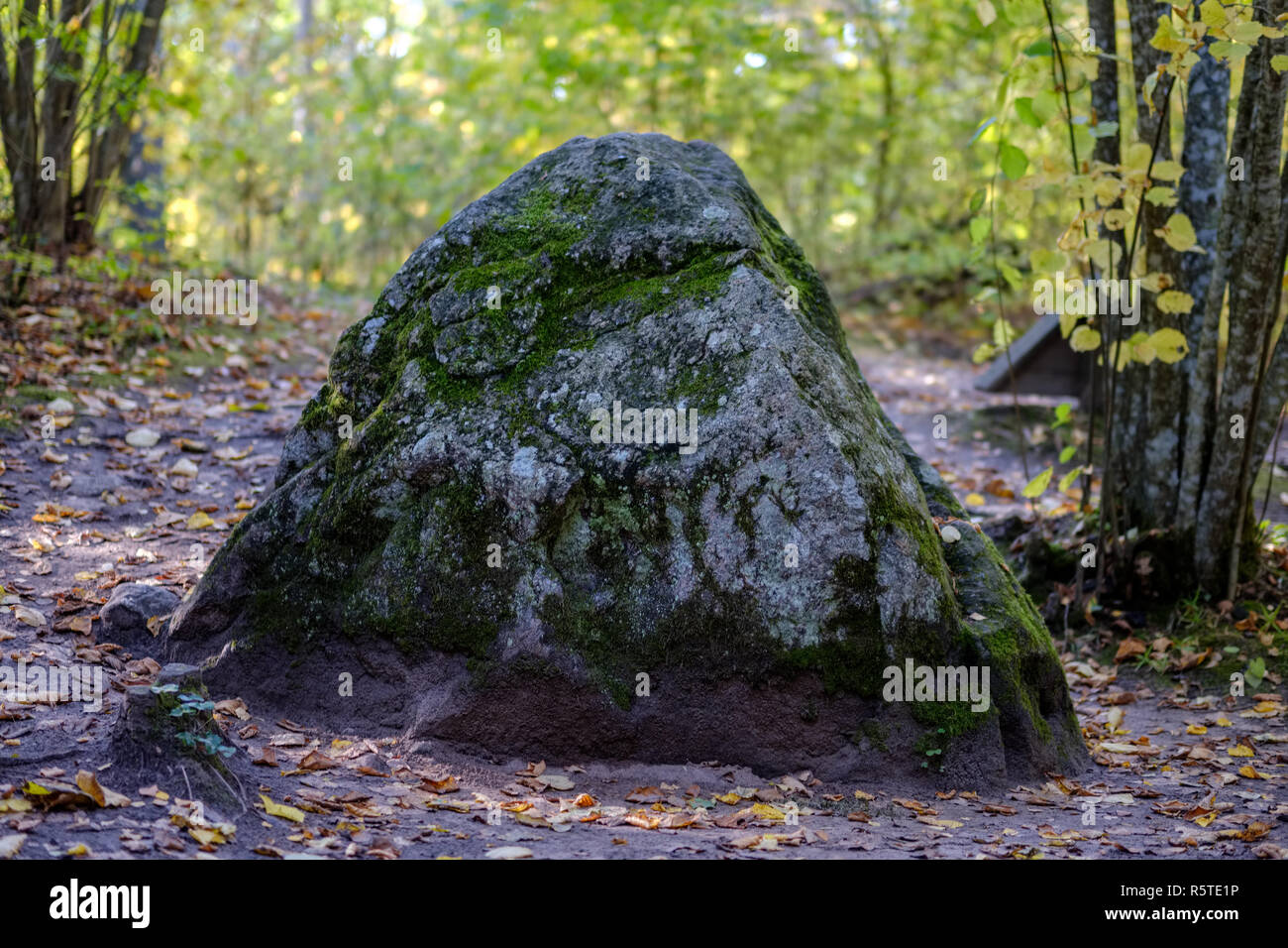 large granite rock single in nature environment isolated from other ...