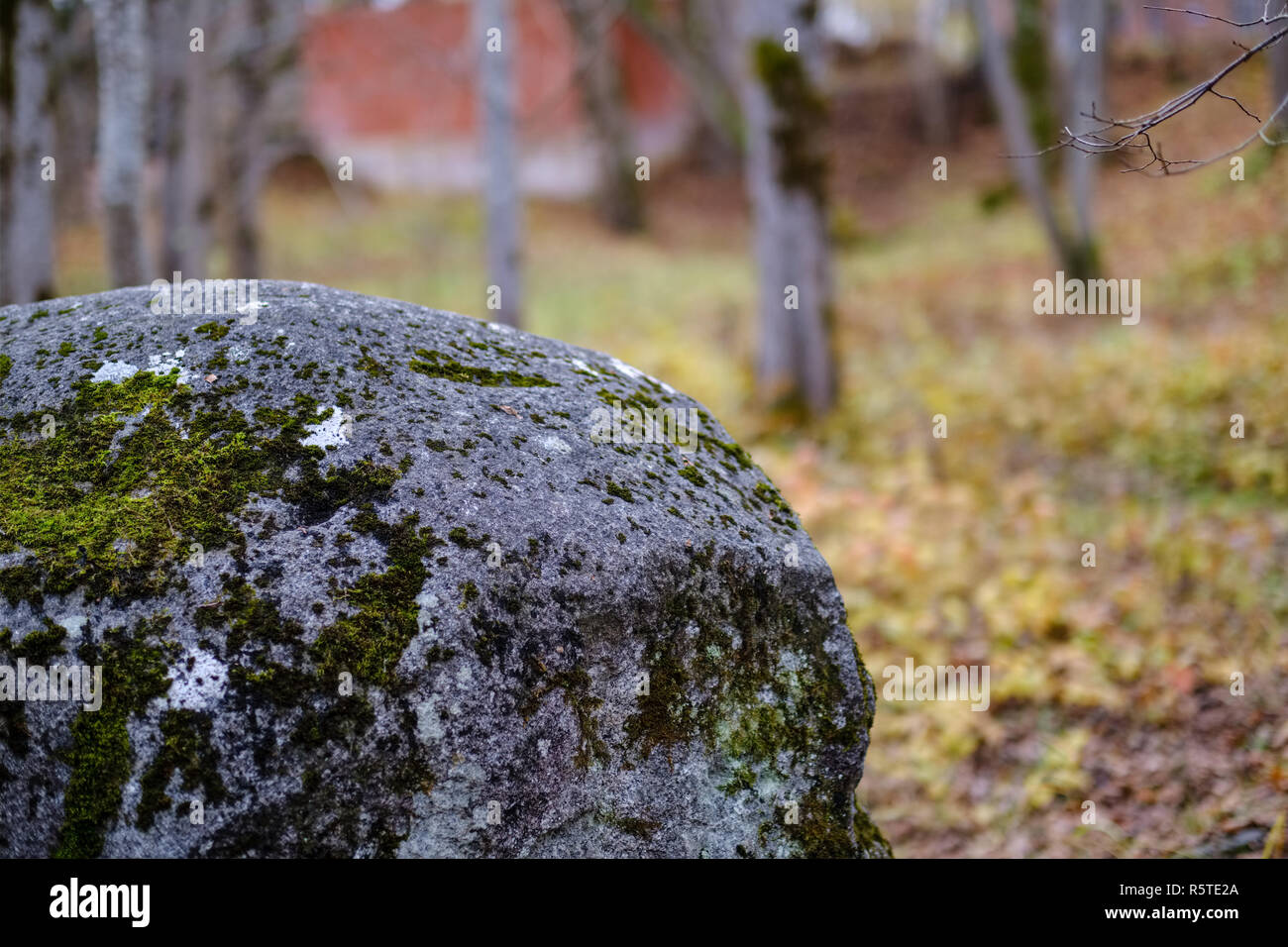 large granite rock single in nature environment isolated from other ...