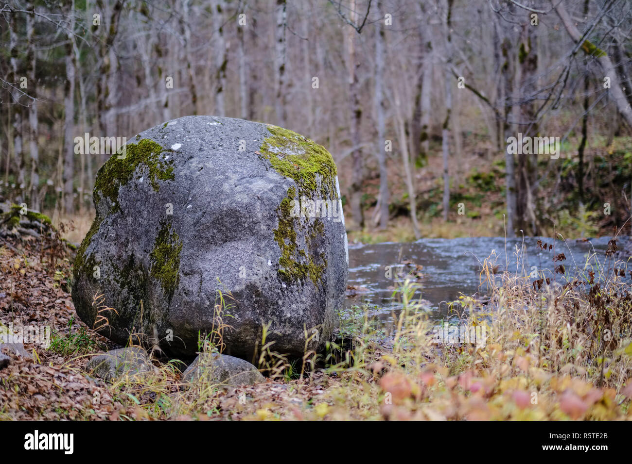 large granite rock single in nature environment isolated from other ...