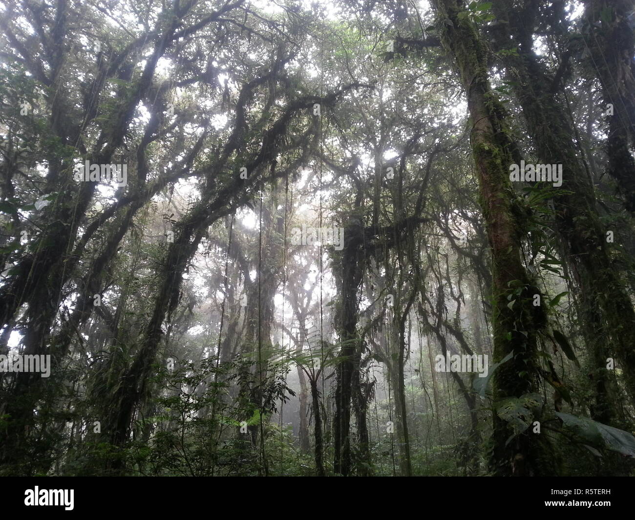 Inside a cloud hi-res stock photography and images - Alamy