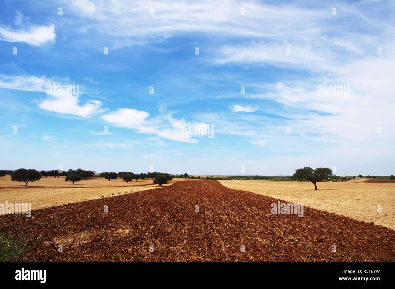 Water for the dry alentejo region hi-res stock photography and images ...