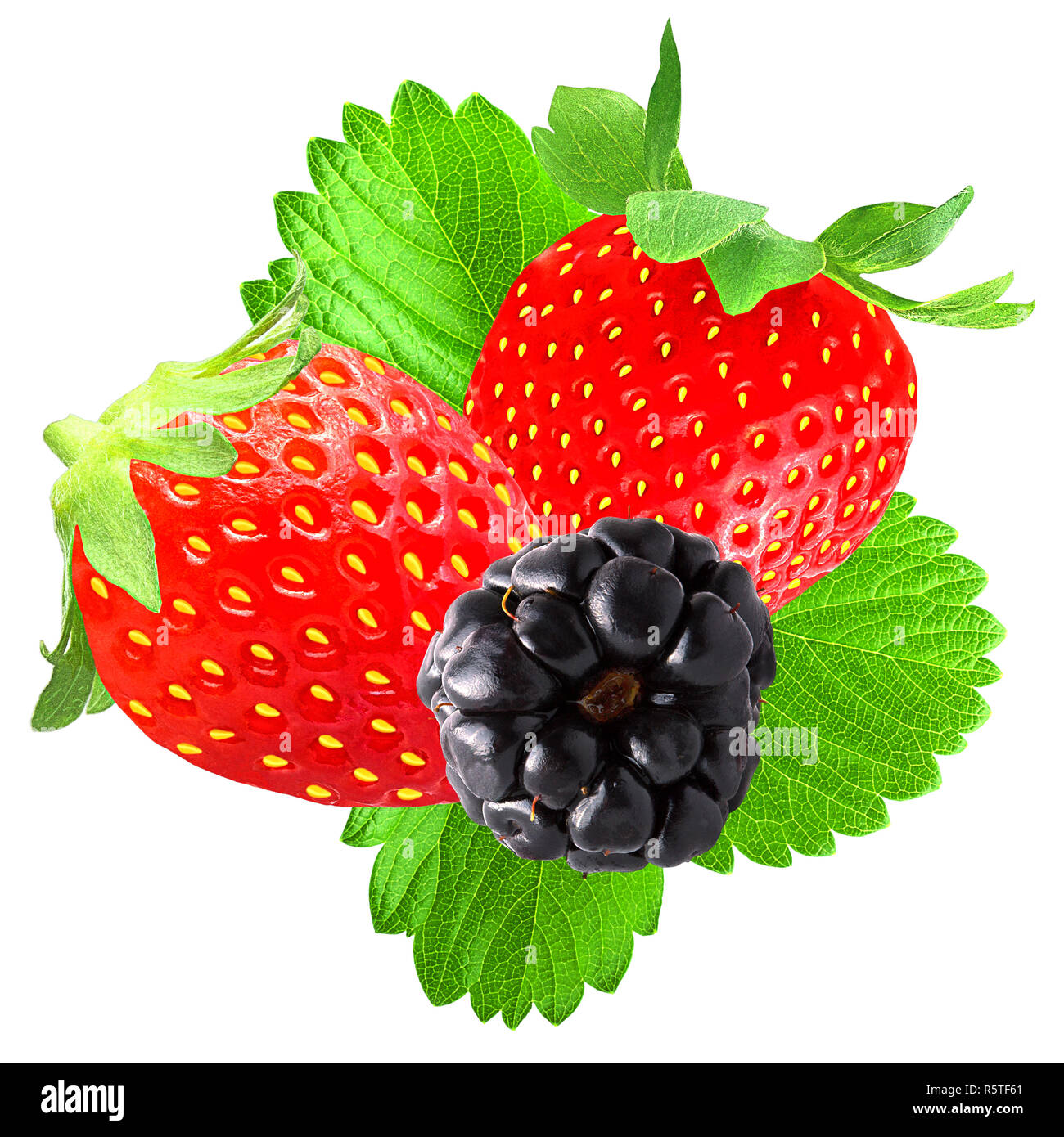 Strawberry and blackberry isolated on white Stock Photo - Alamy