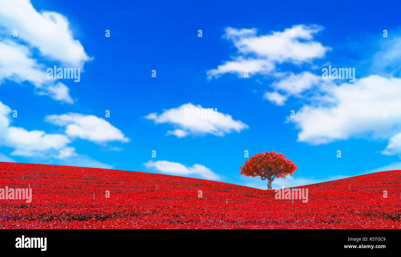 colorful red leaves and tree landscape on blue sky, autumn concept ...