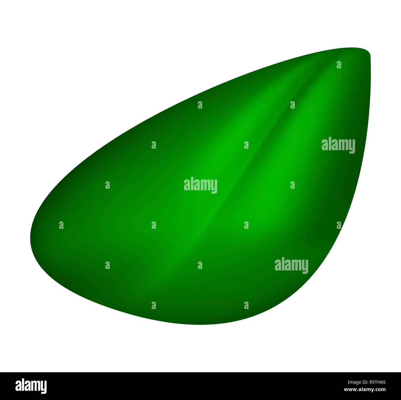 Leaf vector illustration icon, symbol, design. Cartoon green tree ...