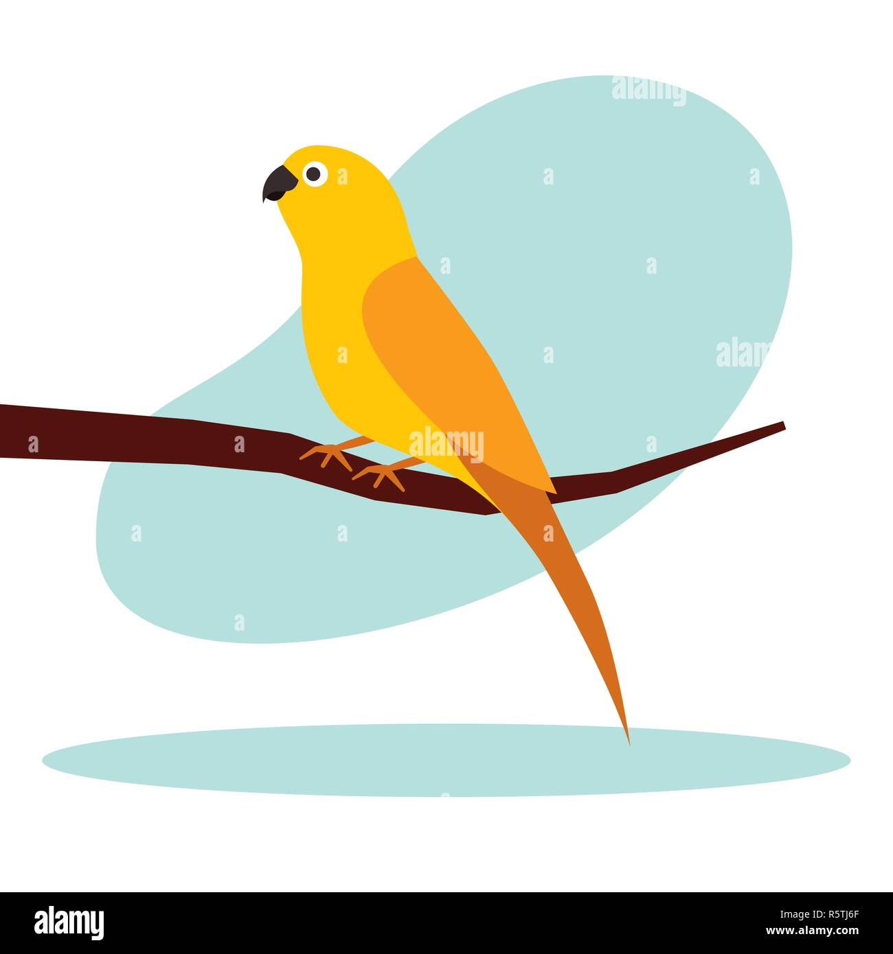 little canary bird on branch vector illustration Stock Vector Image ...
