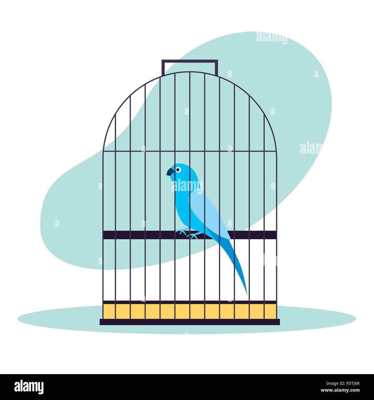 pet shop bird on cage vector illustration Stock Vector Image & Art - Alamy