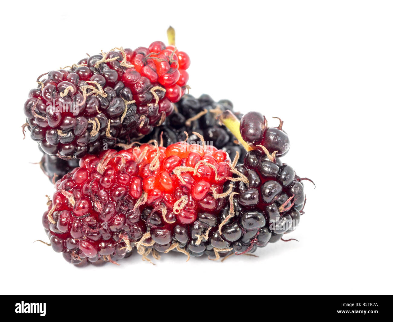 Group of mulberries isolated on white background. Mulberry this a fruit ...