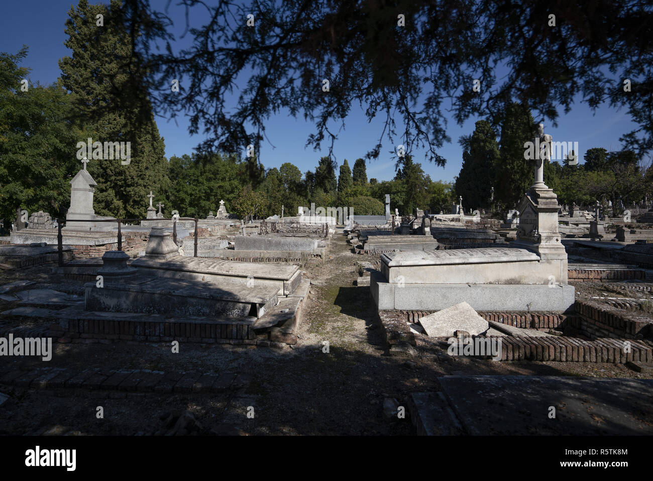 Flowers decorate a tomb at Almudena cemetery in Madrid during the ...