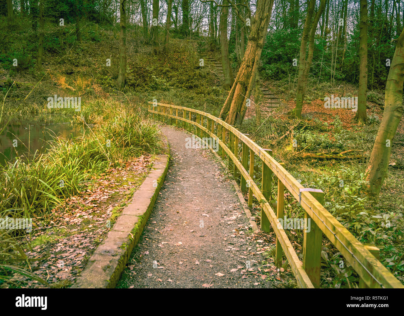 Peaceful woodland walk, just the sound of nature Stock Photo - Alamy