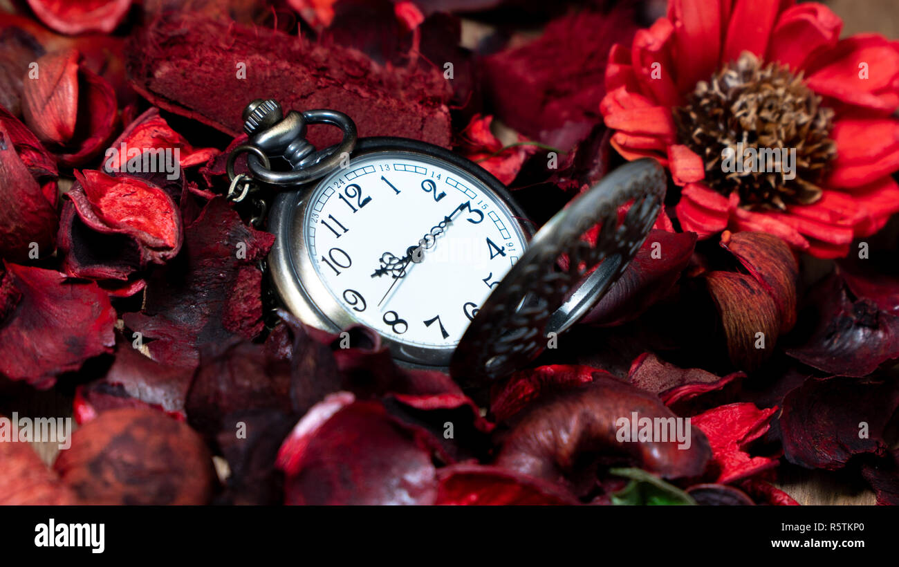 Flower still life with a watch High Resolution Stock Photography and ...