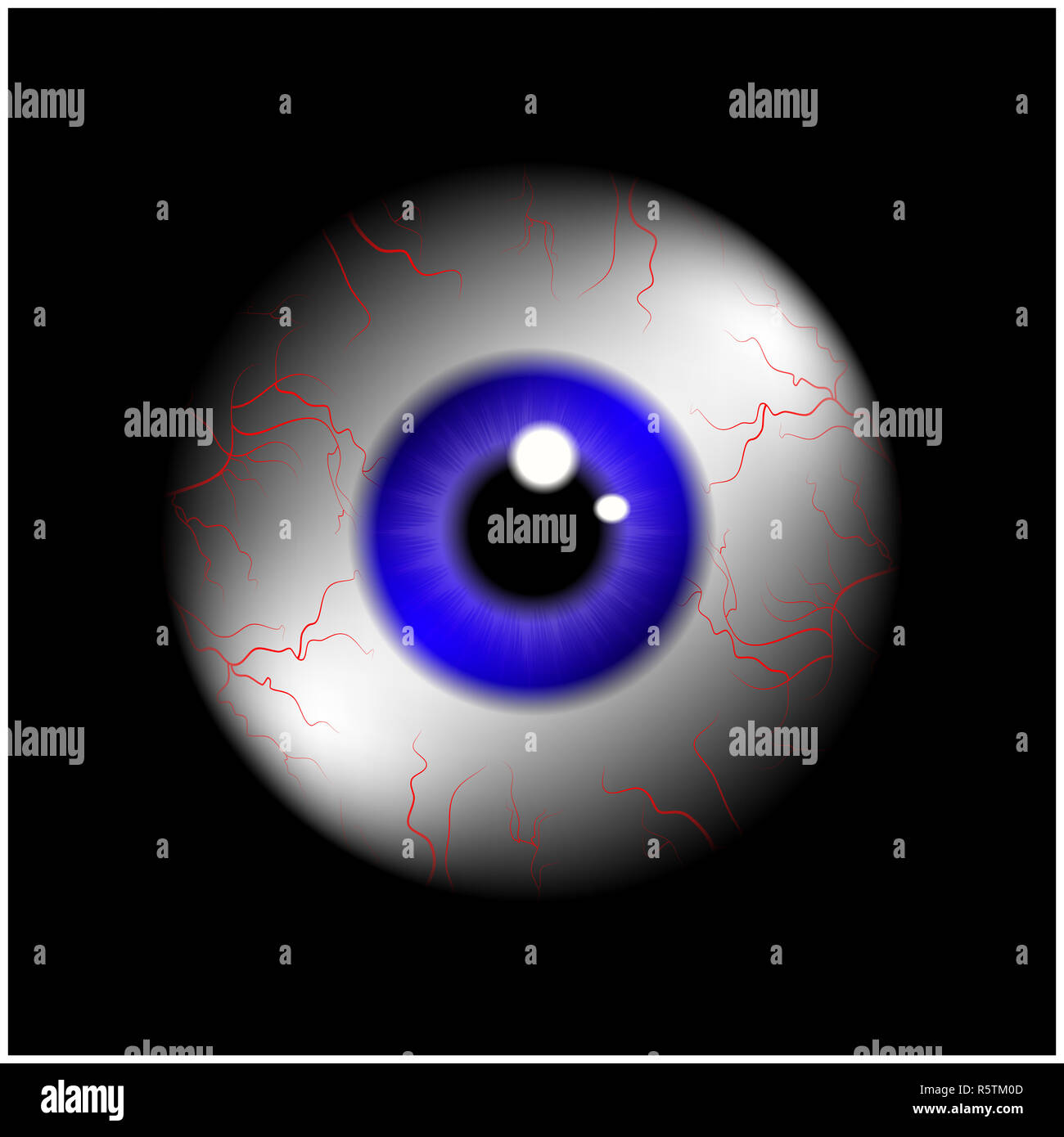 Image of realistic human eye ball with blue pupil, iris. Vector ...