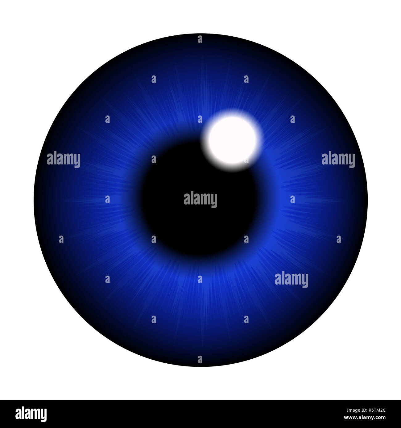 The pupil of the eye, eye ball. Realistic vector illustration isolated ...