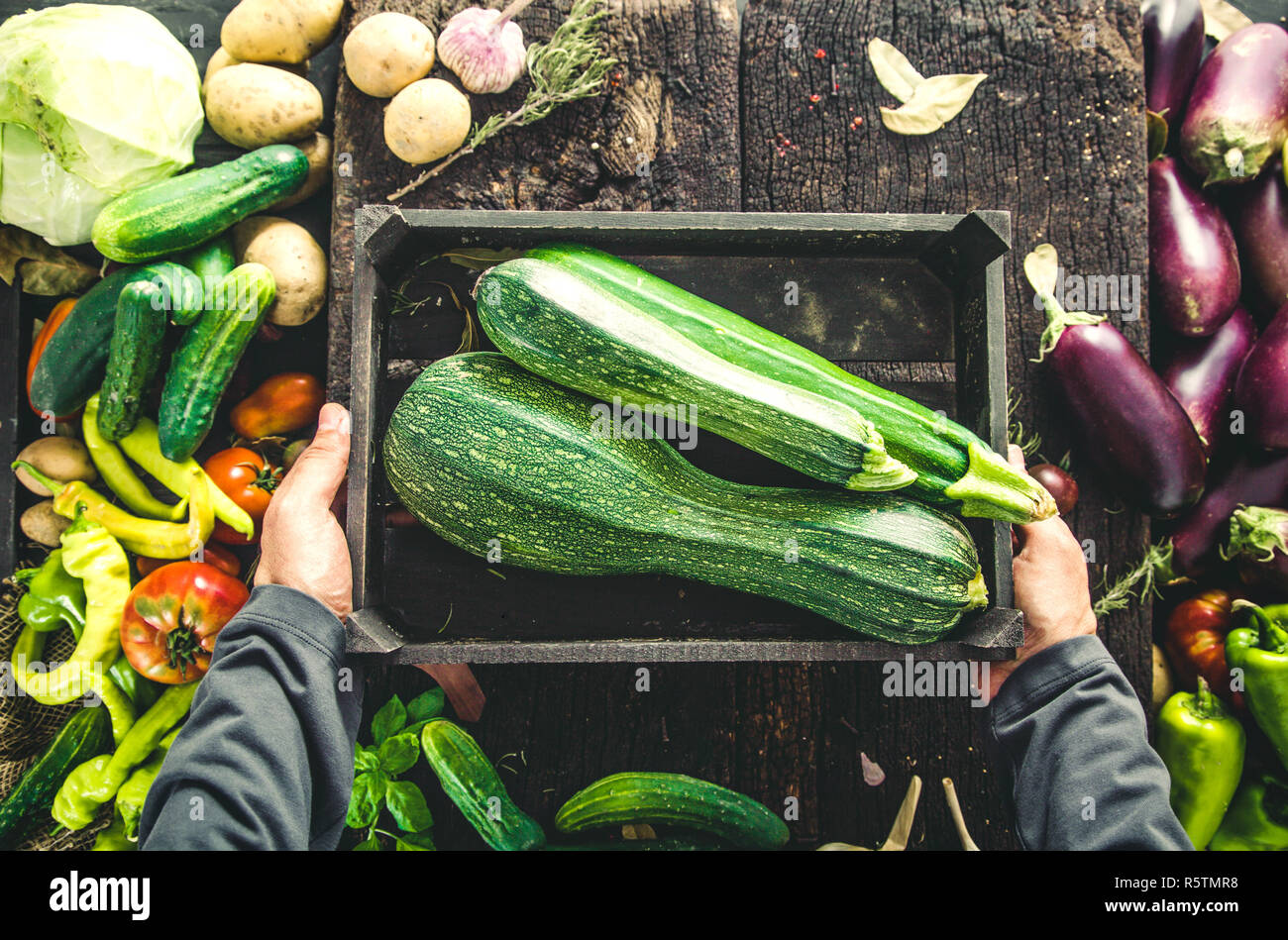 Farmer with zucchini Stock Photo - Alamy