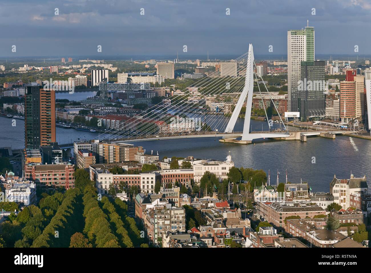 Rotterdam panoramic view Stock Photo - Alamy