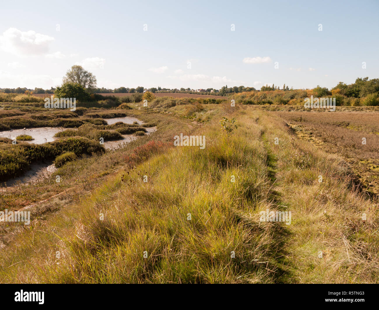 open marshland landscape scene with blue skies, clouds, and grass Stock ...