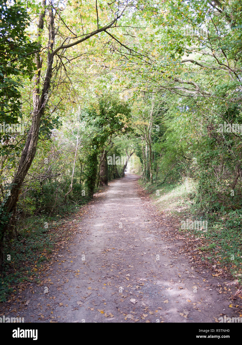 Walk though the park hi-res stock photography and images - Alamy