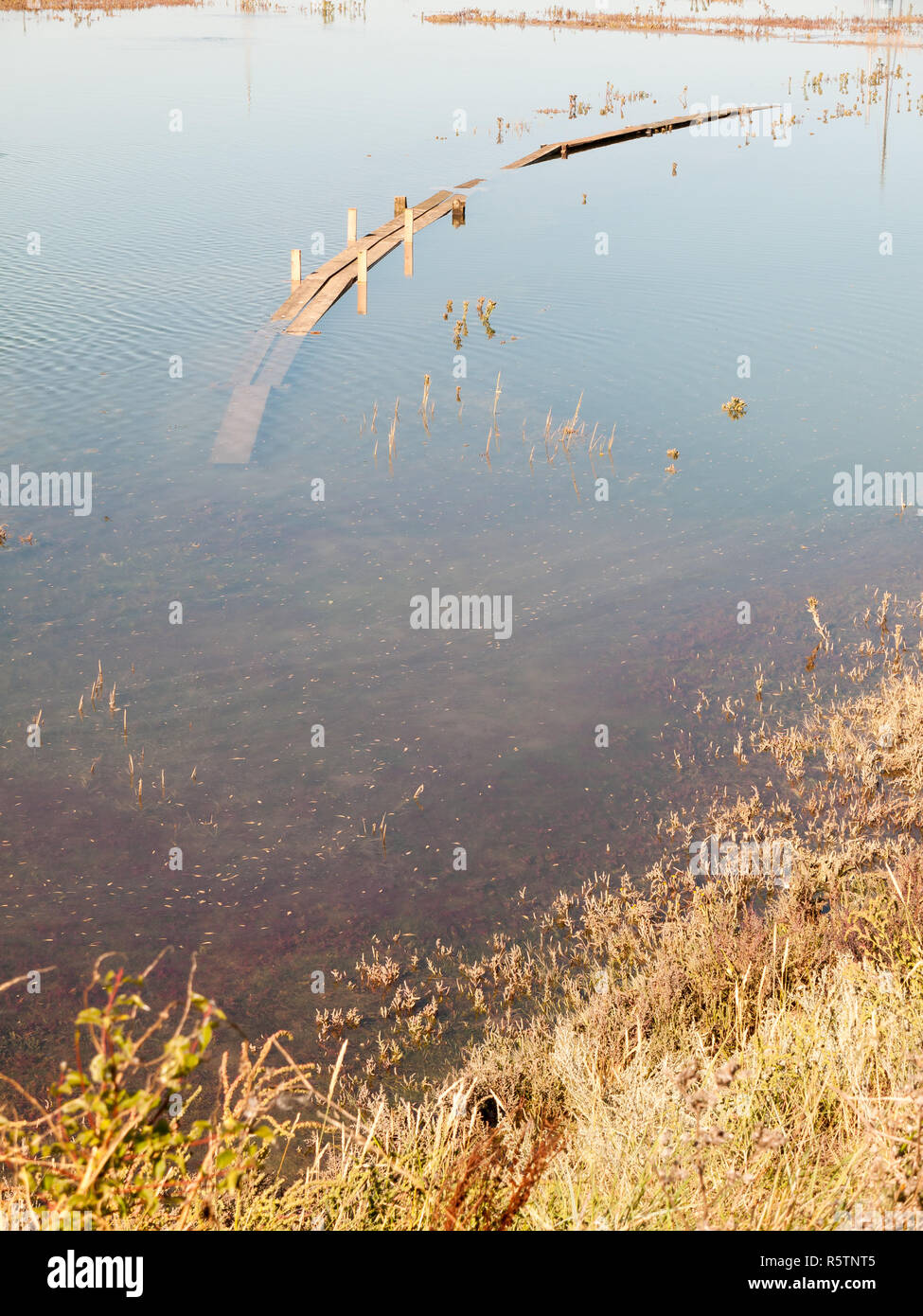 Submerged deck hi-res stock photography and images - Alamy