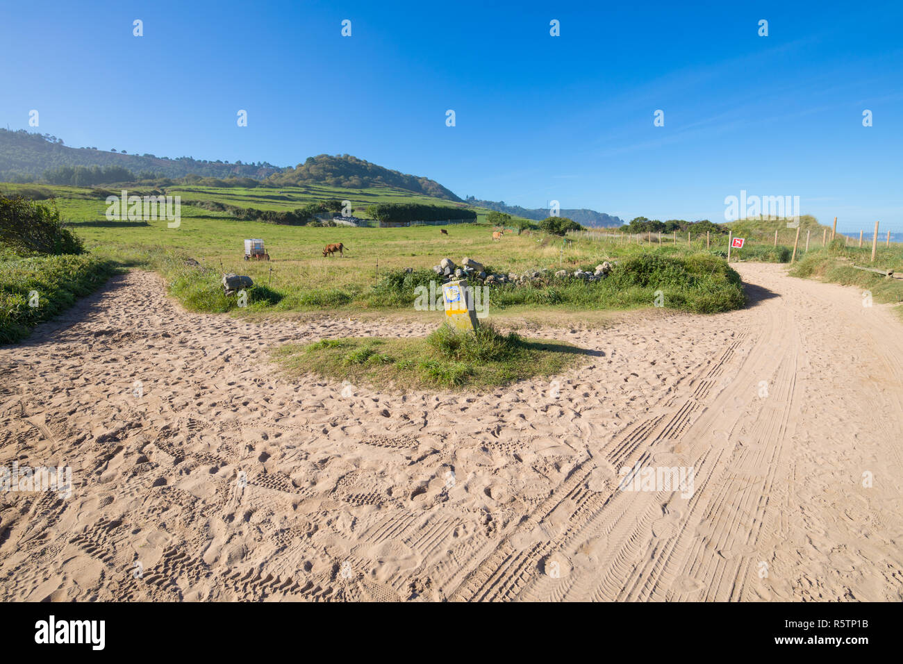 landscape with two sand trails with cement marker signal with symbol of ...