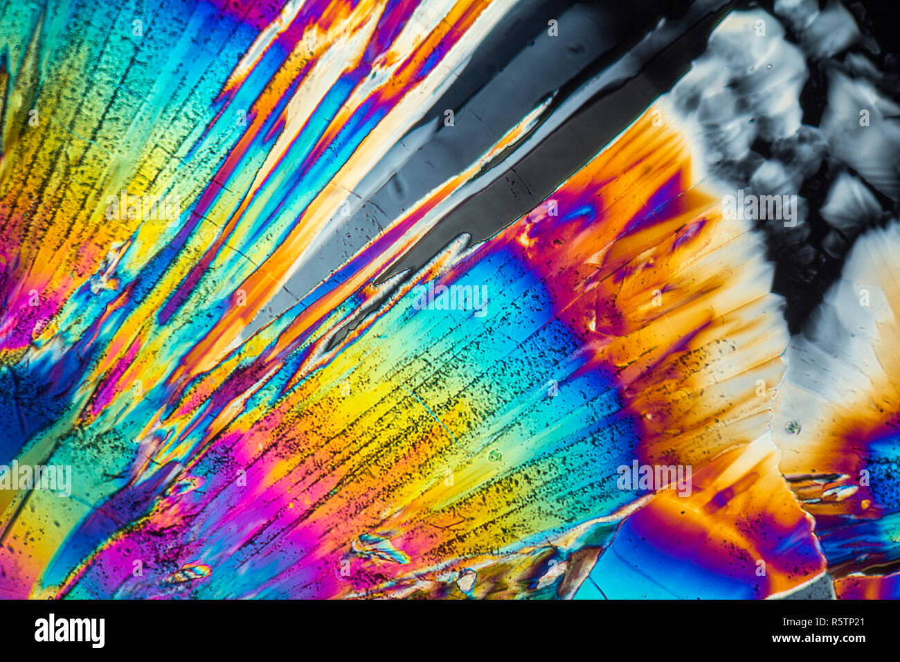 trisodium citrate microcrystals Stock Photo - Alamy
