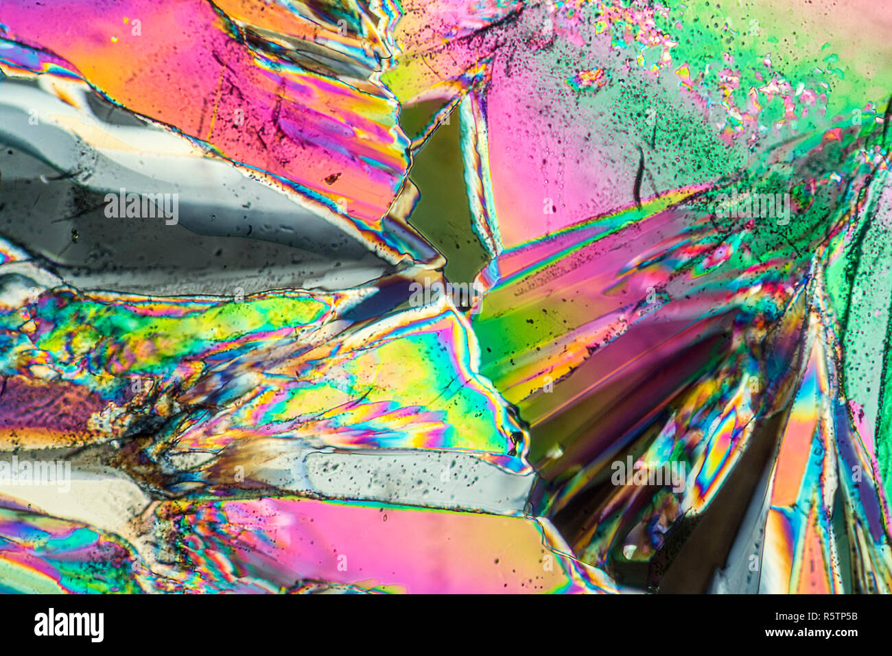 trisodium citrate microcrystals Stock Photo - Alamy