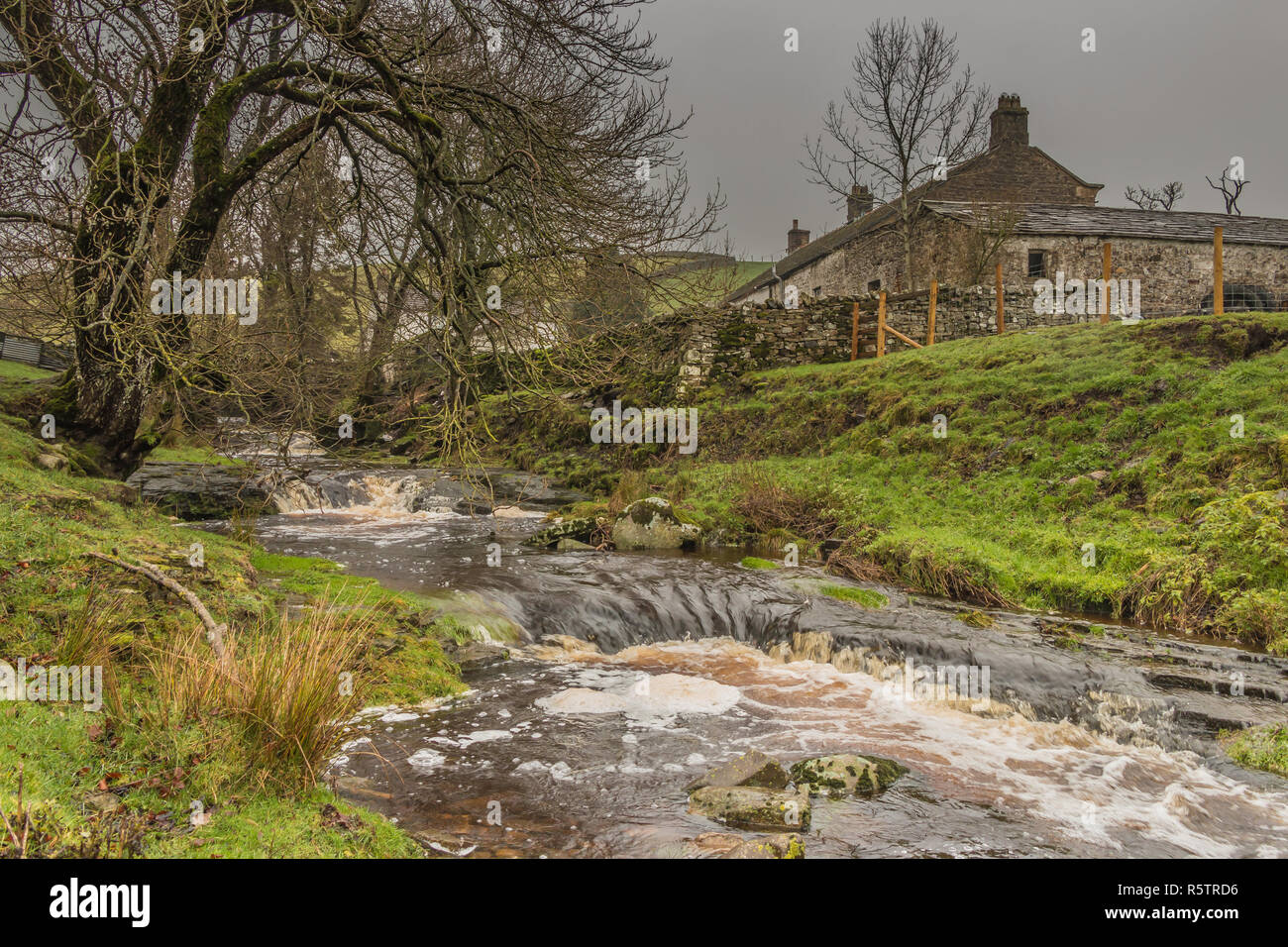 Ettersgill Beck and Dirt Pit Farm, Upper Teesdale, North Pennines AONB ...