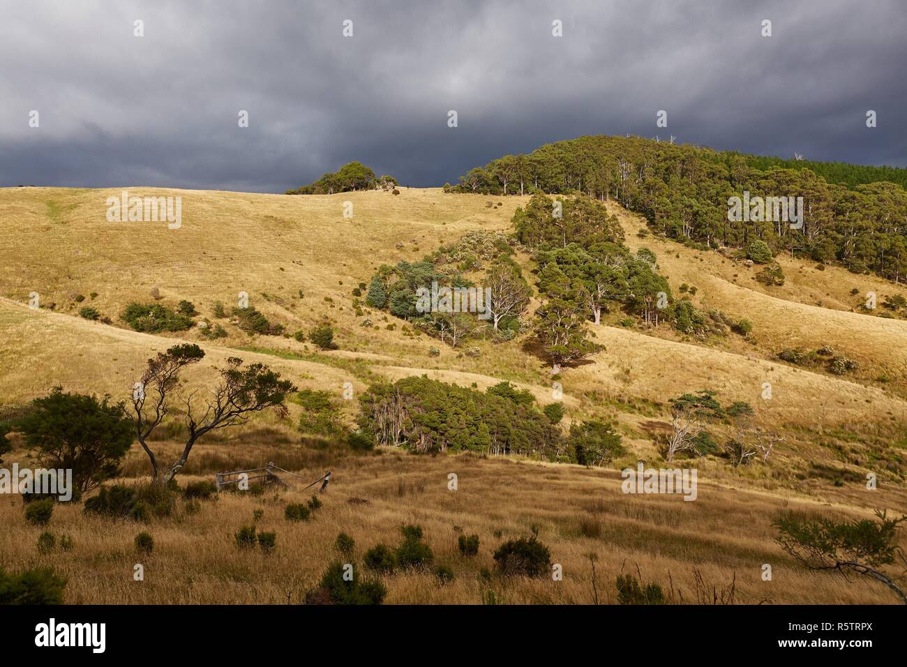 Valley in Tasmania Stock Photo - Alamy