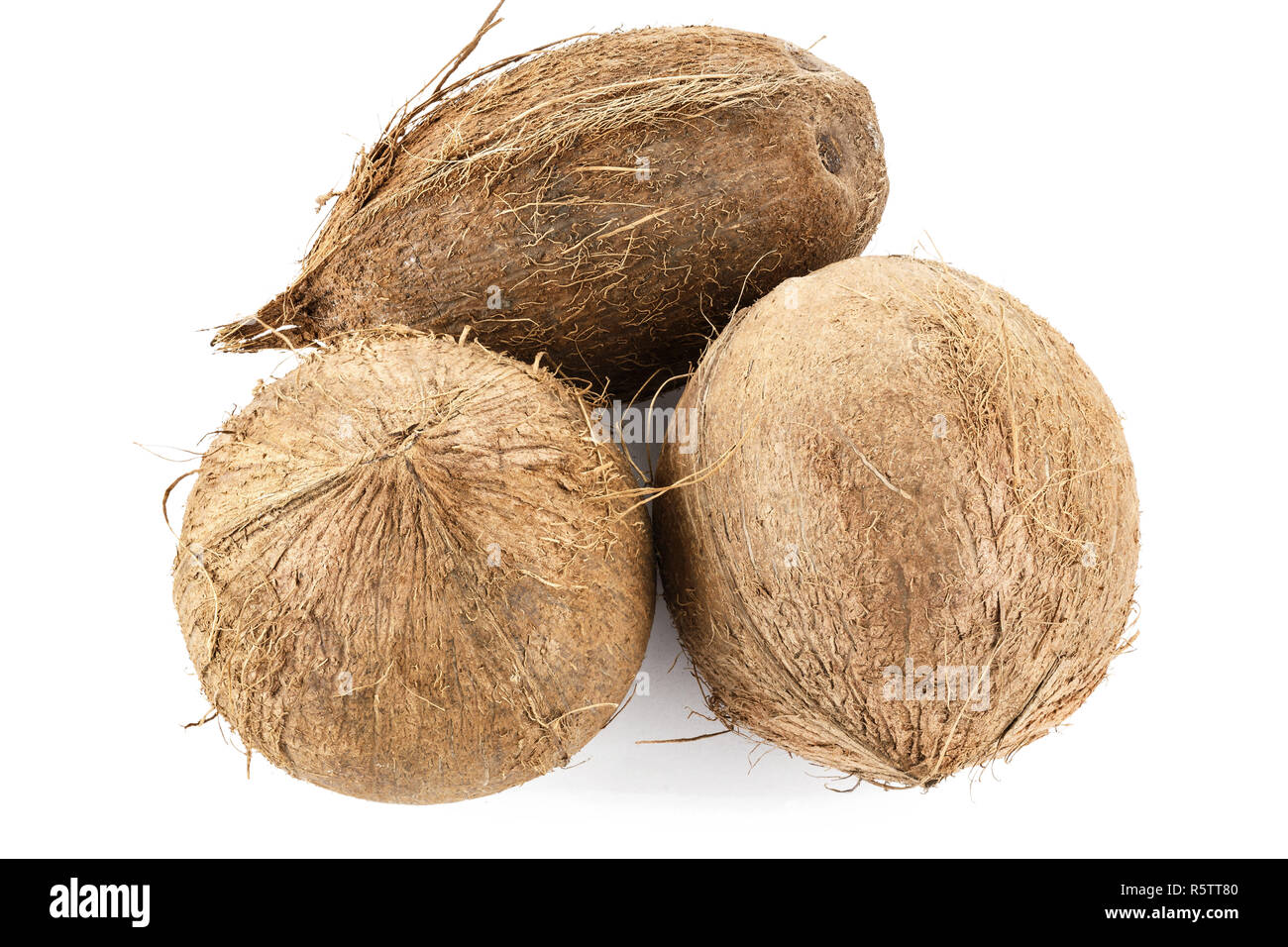 three whole coconut isolated on white background. well visible nut ...