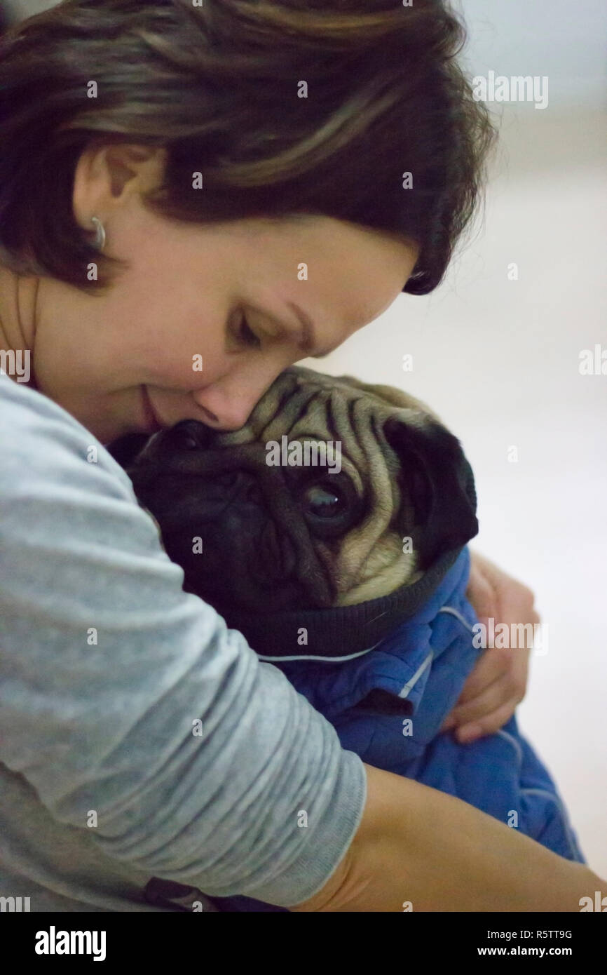 Woman holding pet pug hi-res stock photography and images - Alamy