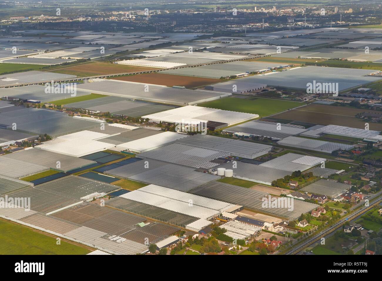 Greenhouse farming from above Stock Photo - Alamy