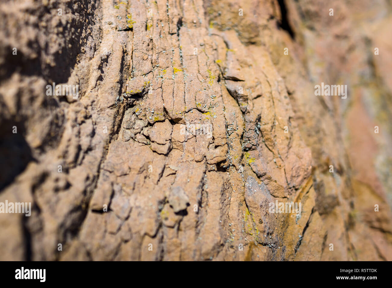 Sedimentary rock. Structure of natural stone. Background. Shallow depth ...