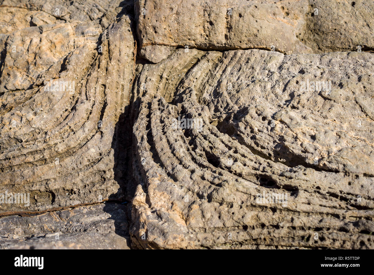 Sedimentary rock. Structure of natural stone. Background Stock Photo ...
